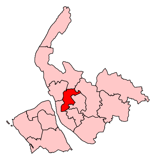 Election 2019: What does Liverpool, Walton really think?